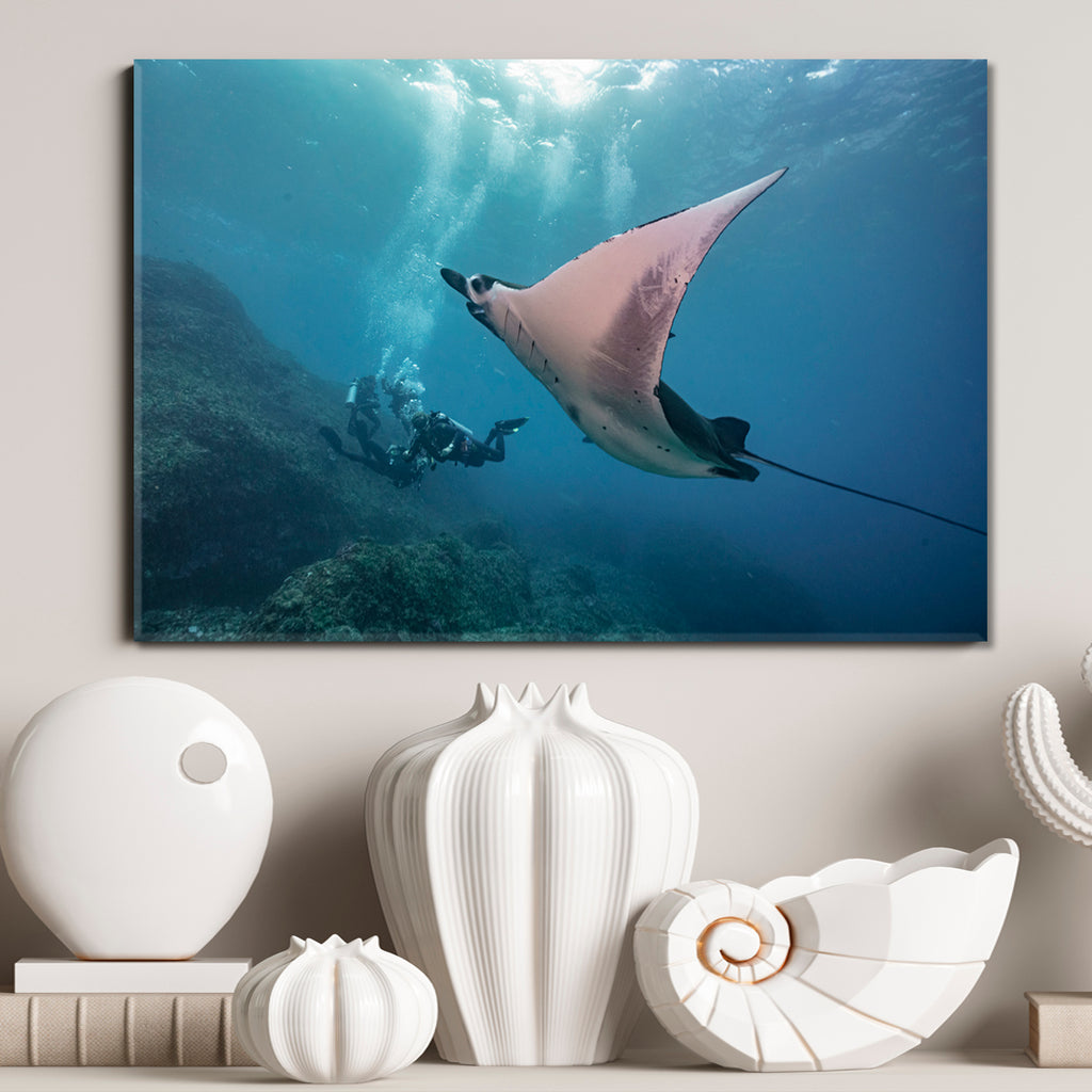 DIVING Nice Manta-Ray Underwater Amazing Photo Shoot - 1 panel / 24" x ...